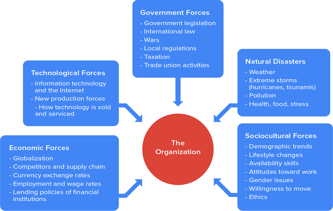 The Organization's External Environment Tutorial | Sophia Learning
