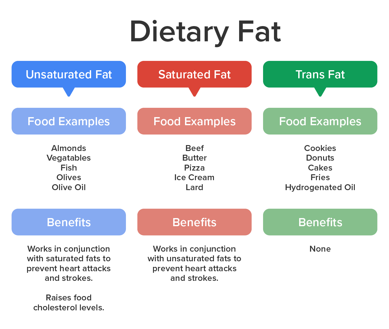 Lipid Sources Tutorial | Sophia Learning