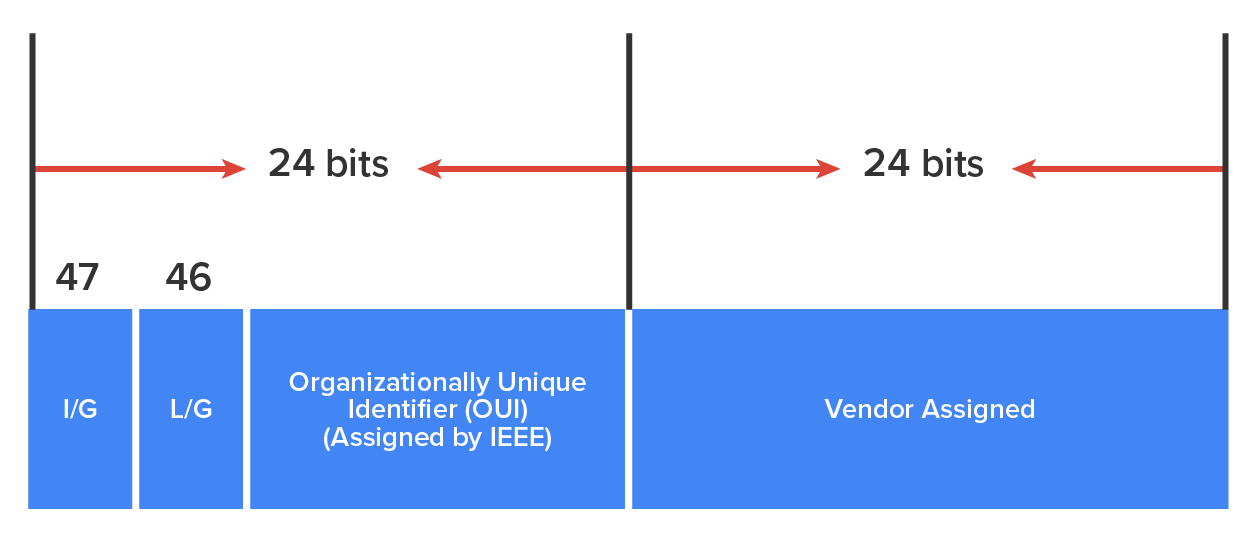 Ethernet at the Data Link Layer Tutorial | Sophia Learning