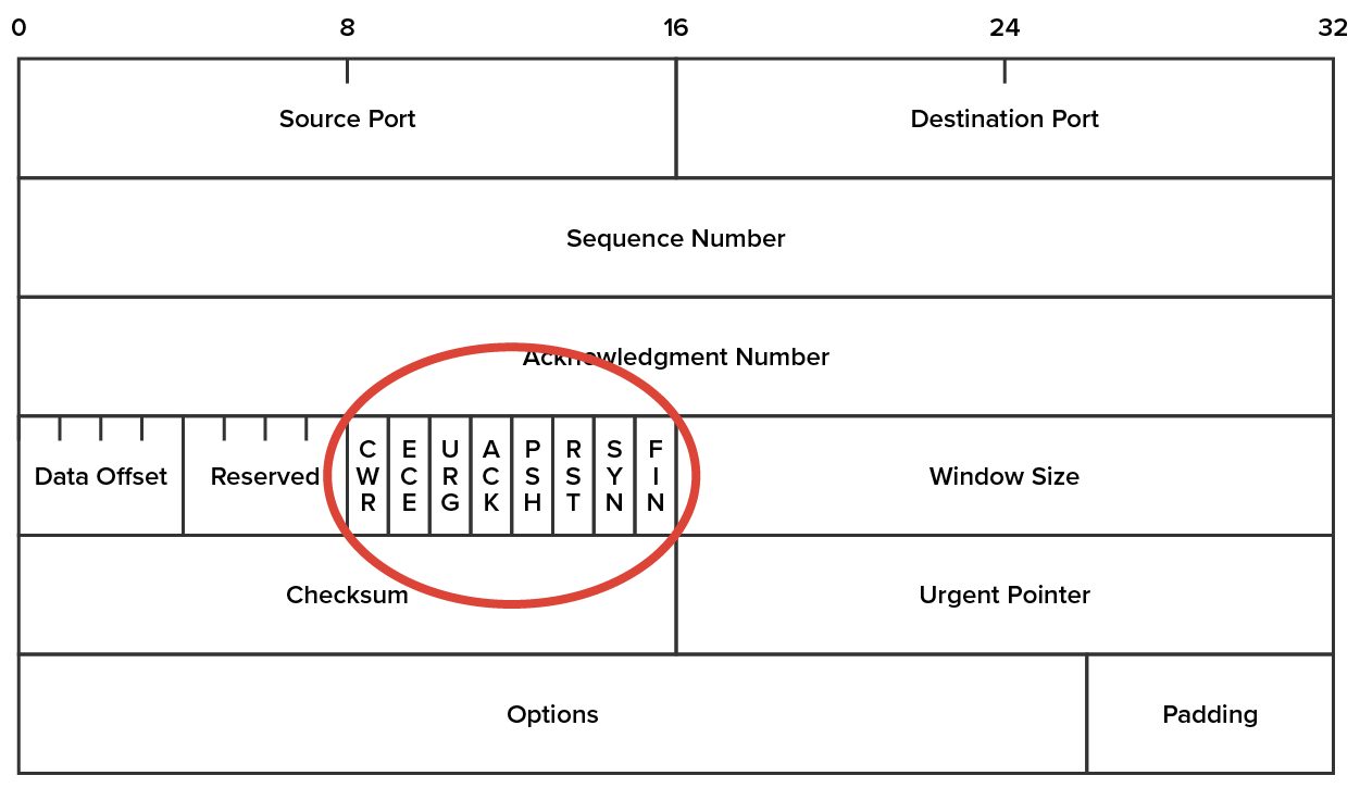 Network Troubleshooting Tools Tutorial | Sophia Learning