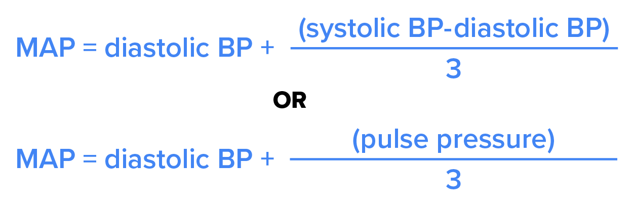 Blood Flow and Blood Pressure Tutorial | Sophia Learning