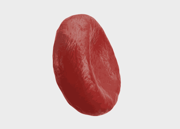 Red Blood Cells and Hemoglobin Tutorial | Sophia Learning