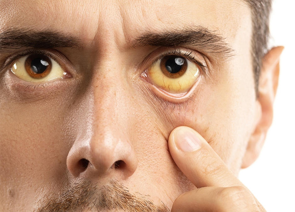 Red Blood Cells and Hemoglobin Tutorial | Sophia Learning