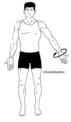 Joints Tutorial | Sophia Learning