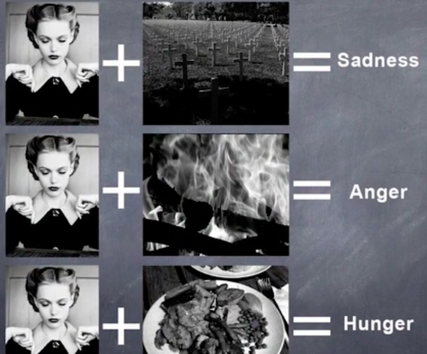 Montage Theory Tutorial | Sophia Learning