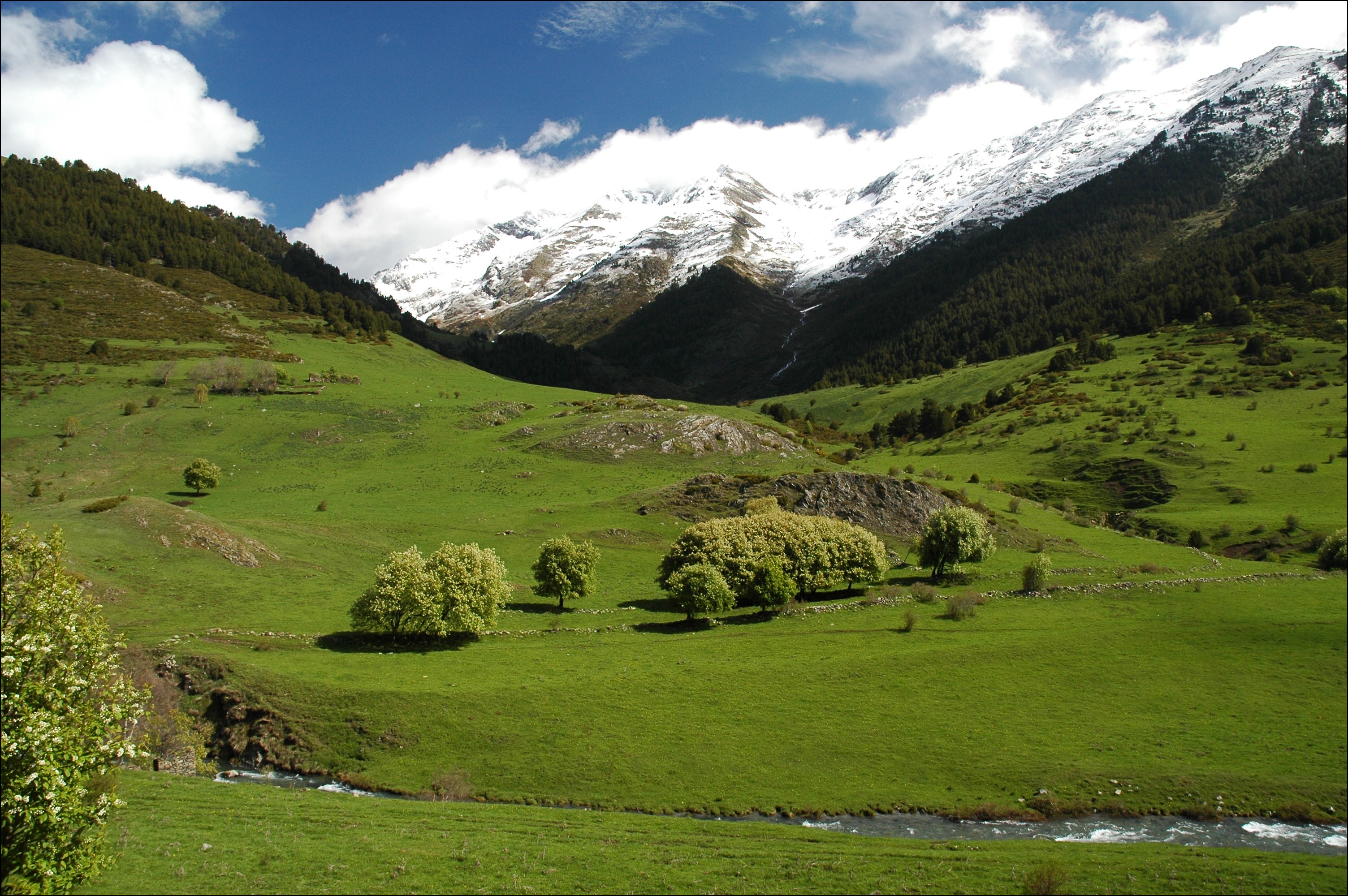 Ecosystem Tutorial | Sophia Learning