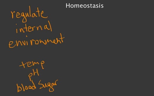 Homeostasis Tutorial | Sophia Learning