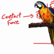 Contact Force Tutorial | Sophia Learning