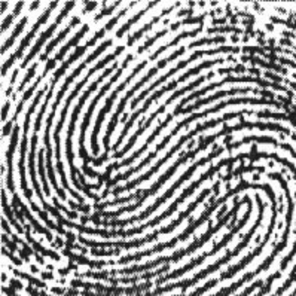 Fingerprinting Tutorial Sophia Learning