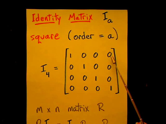 The Identity Matrix Tutorial | Sophia Learning