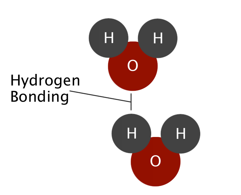 Molecular Structure of Water Tutorial | Sophia Learning