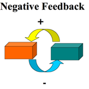 Negative Feedback & Thermoregulation Tutorial | Sophia Learning