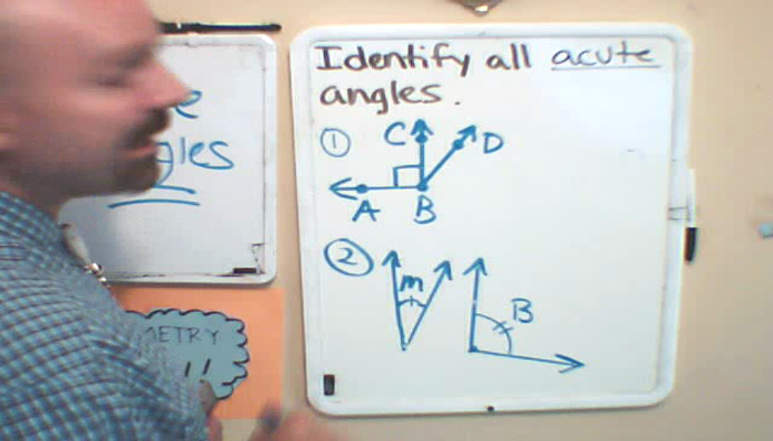 Identifying an Acute Angle Tutorial | Sophia Learning