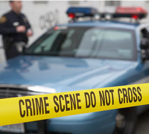 F02-02 The Seven Ss Tutorial | Sophia Learning