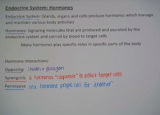 Endocrine System: Hormones Tutorial | Sophia Learning