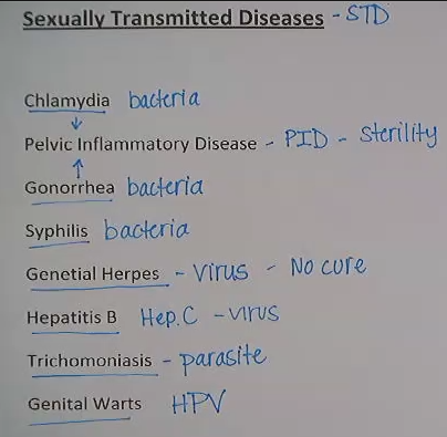 STD's Tutorial | Sophia Learning